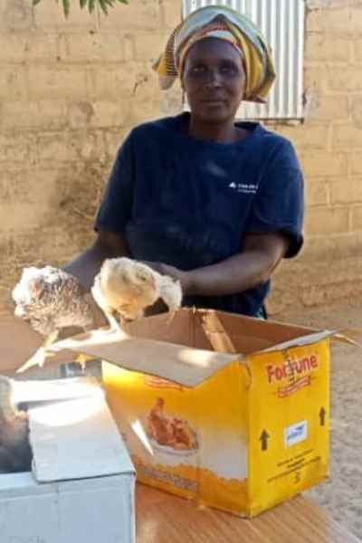 Promotion de l'élevage dans la ferme de Yayeme (delta du saloum)